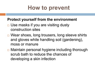 Mucormycosis | PPTX | Digestive Disorders | Diseases and Conditions