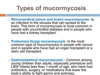 Mucormycosis | PPTX | Digestive Disorders | Diseases and Conditions