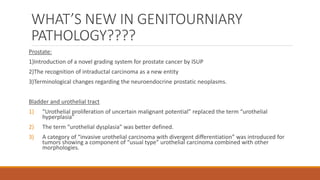 What is new in Genitourinary pathology | PPTX | Medical Health