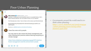 How does the world better protect its forests? | PPT