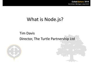 What is Node.js? | PPT