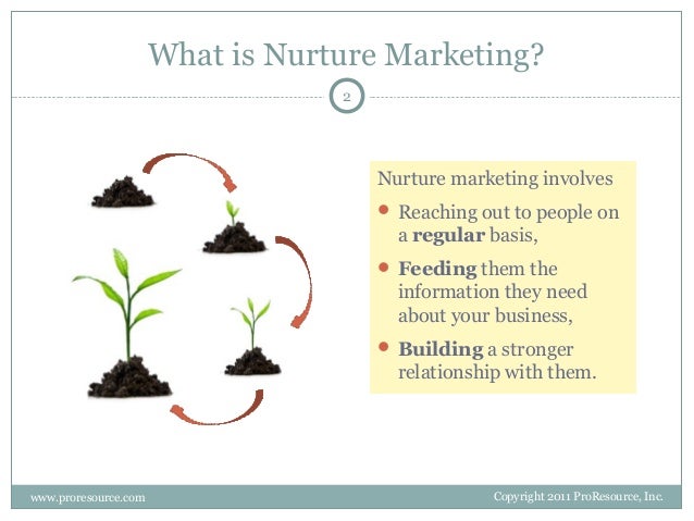 Nurture Marketing Examples