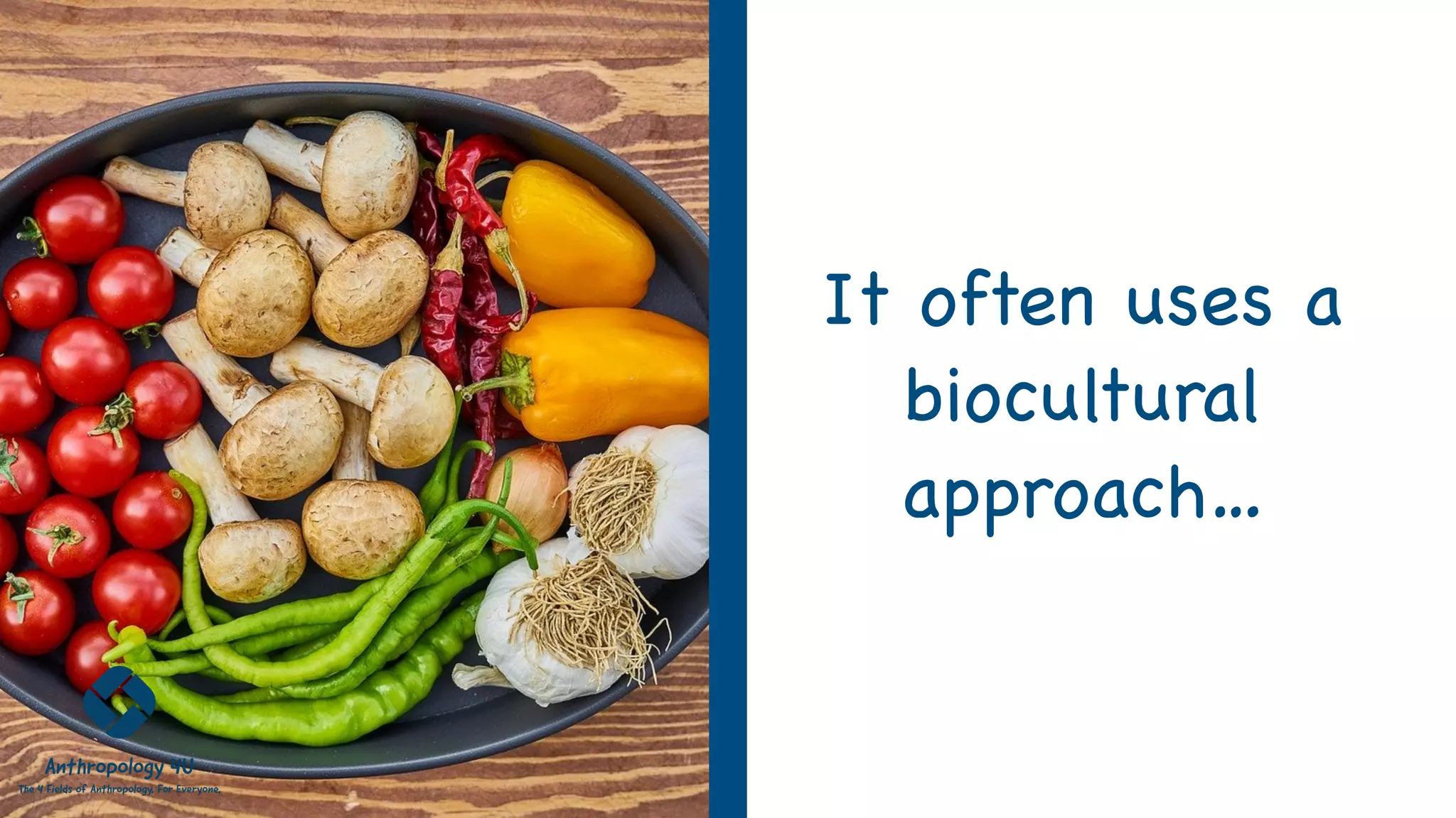 What is Nutritional Anthropology? | PDF