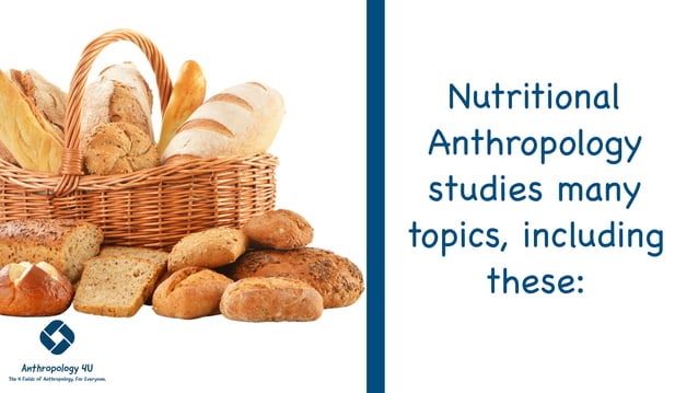 What is Nutritional Anthropology? | PDF