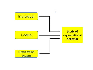 What is organizational behaviour | PPTX