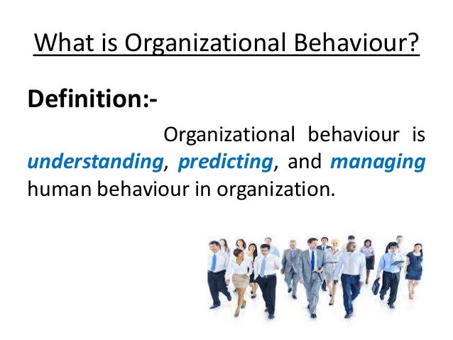 What is organizational behaviour