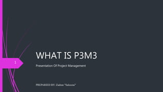 What is p3 m3 presentation of project managment | PPTX
