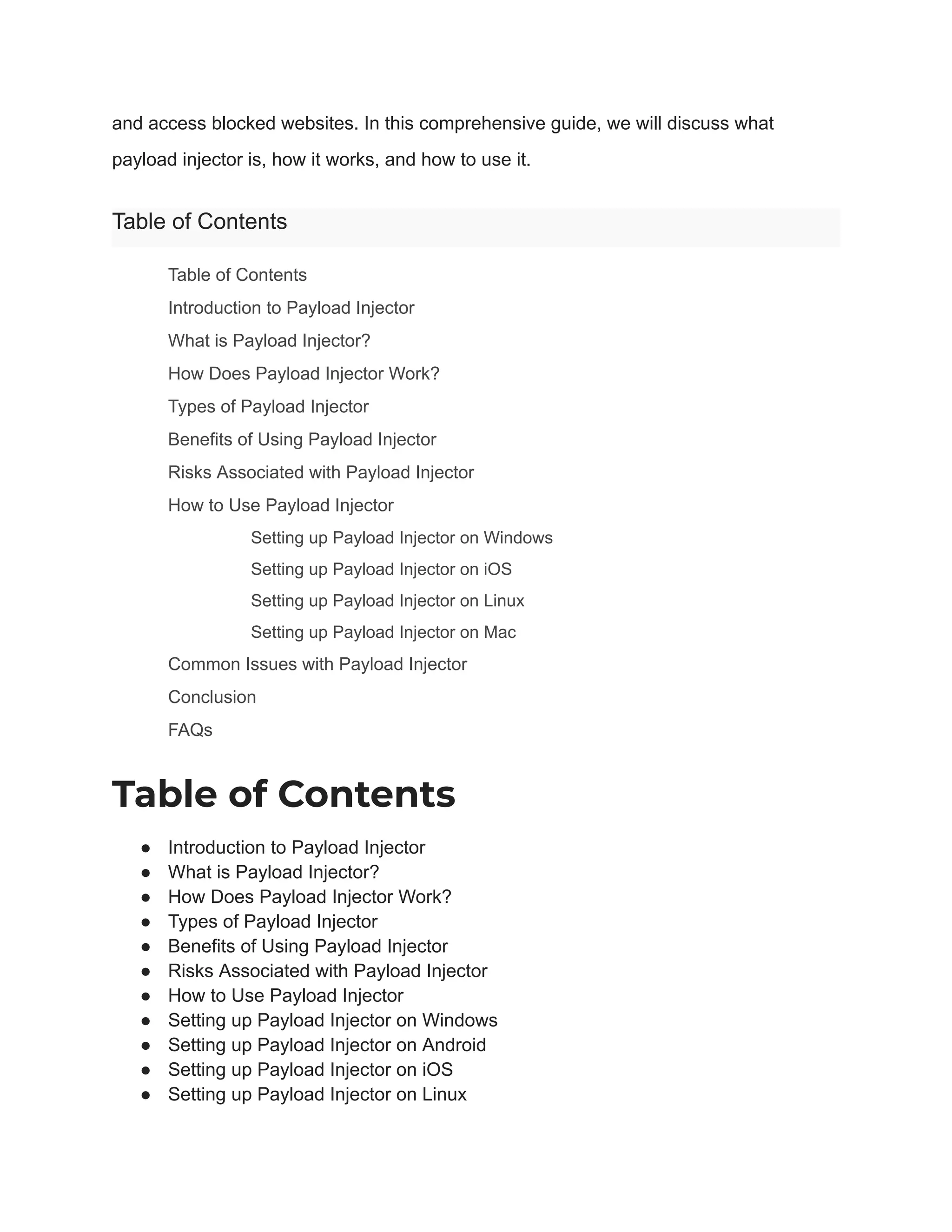 What is Payload Injector.pdf