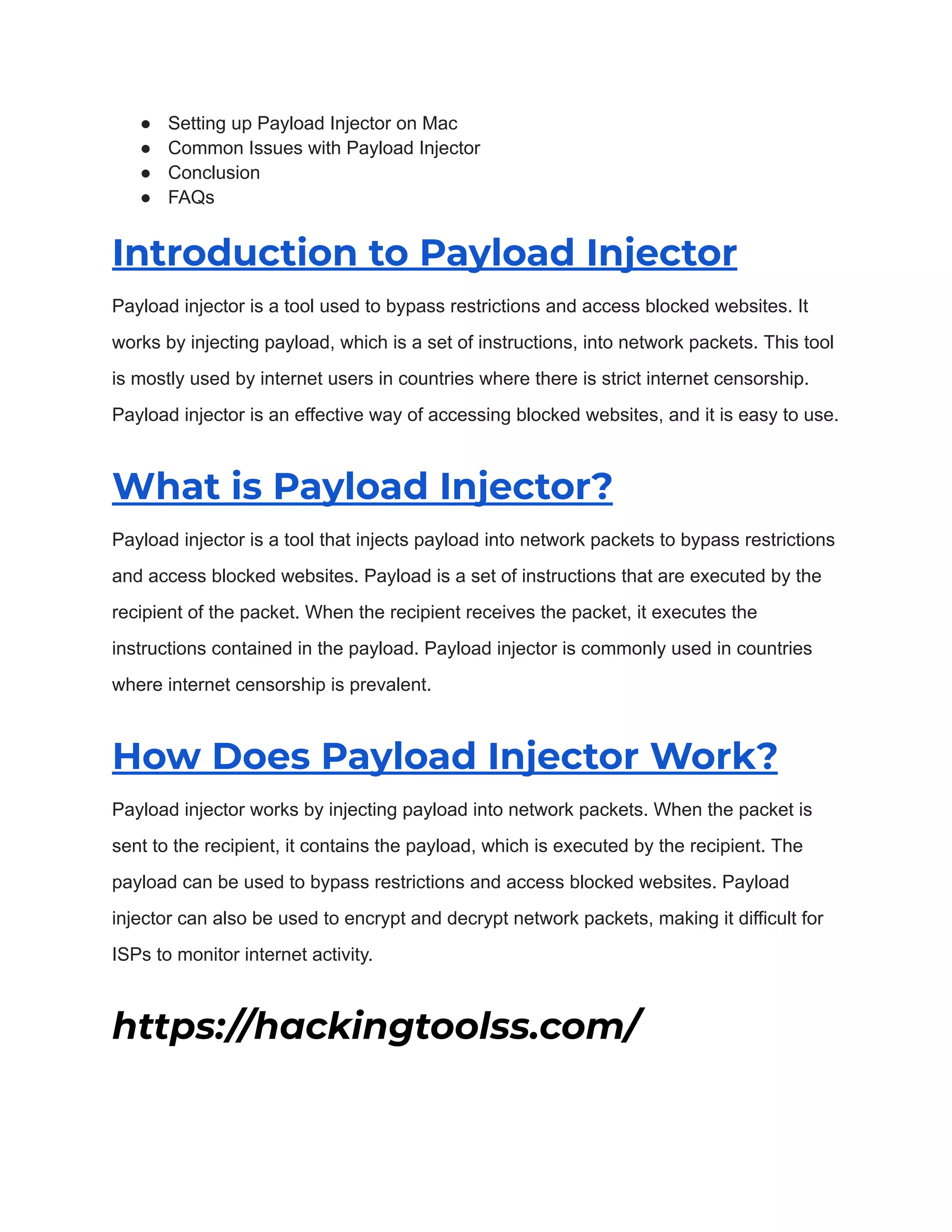 What is Payload Injector.pdf