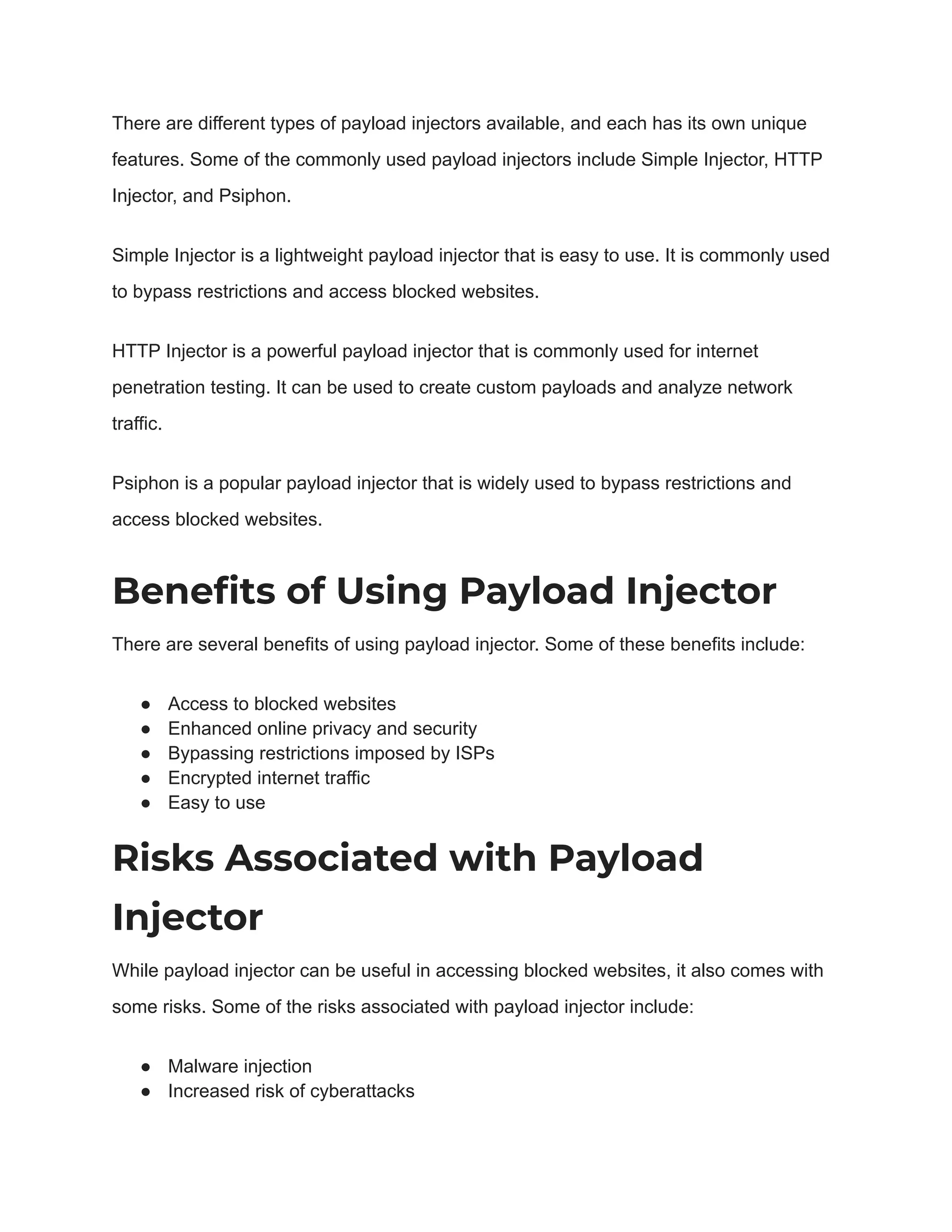 What is Payload Injector.pdf
