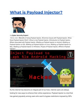 What is Payload Injector.pdf