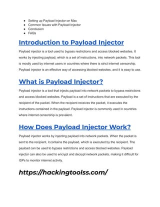 What is Payload Injector.pdf
