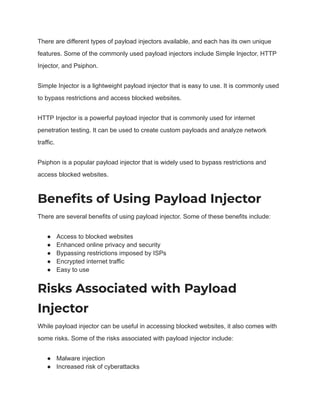 What is Payload Injector.pdf