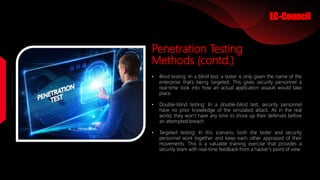 A Brief Introduction to Penetration Testing | PPTX | Internet | Computing