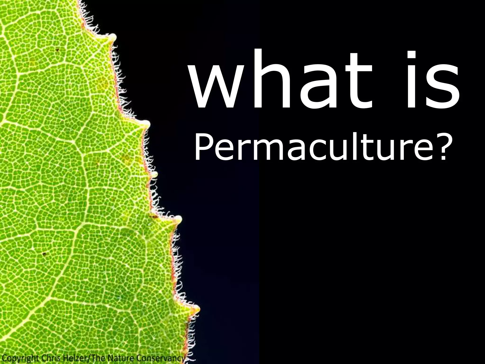 What is permaculture | PPTX