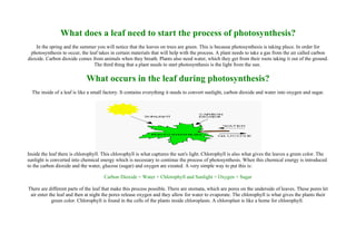 What is photosynthesis | PPT