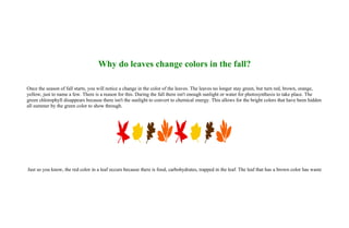 What is photosynthesis | PPT