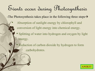 What is photosynthesis | PPTX