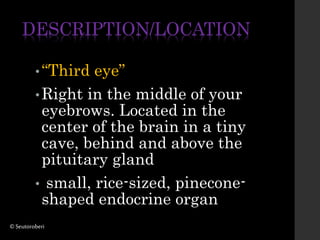 What is Pineal Gland? | PPT