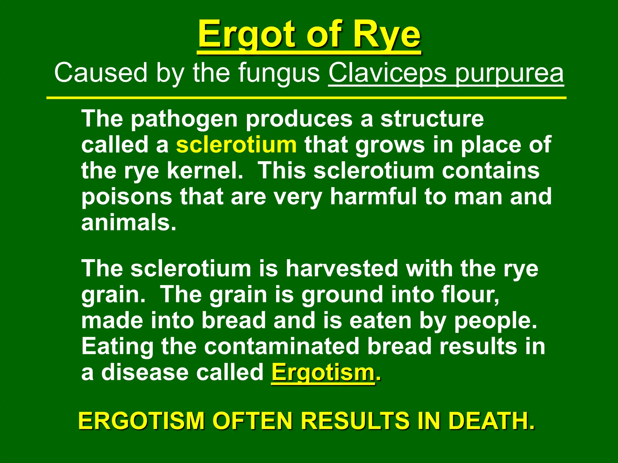 what is plant pathology and plant disease .ppt