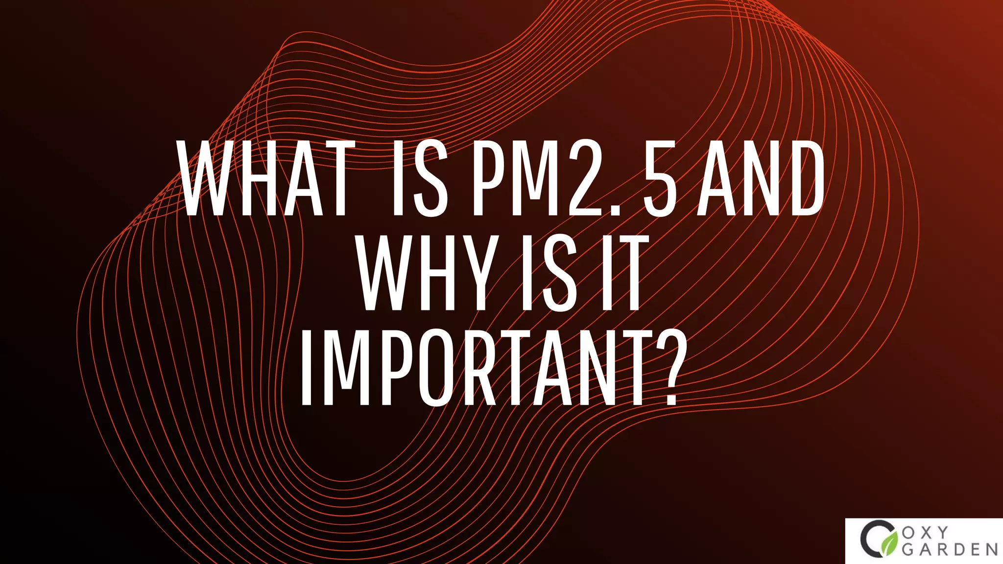 What is pm2. 5 and why is it important | PDF