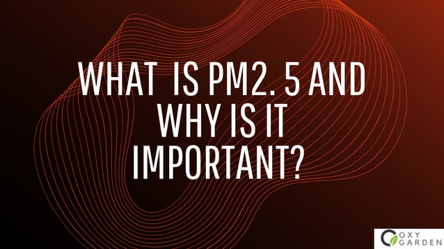 What is pm2. 5 and why is it important | PDF | Lung and Respiratory Health | Diseases and Conditions