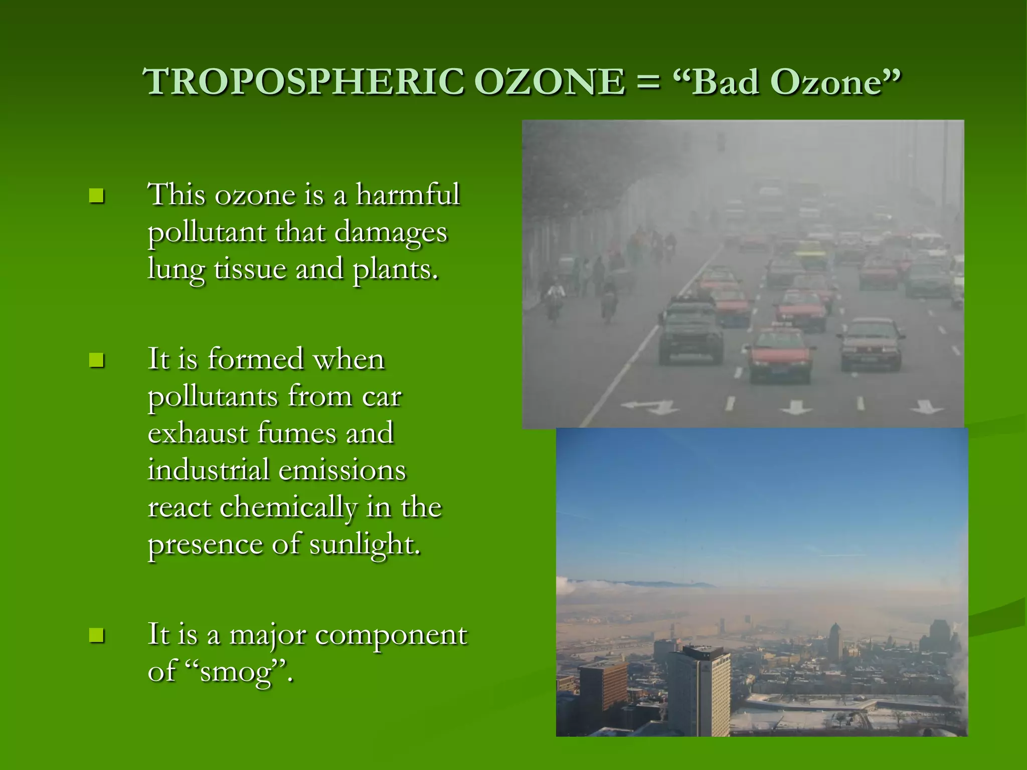 Bahamas Pollution - Bahamas Conservation | PDF