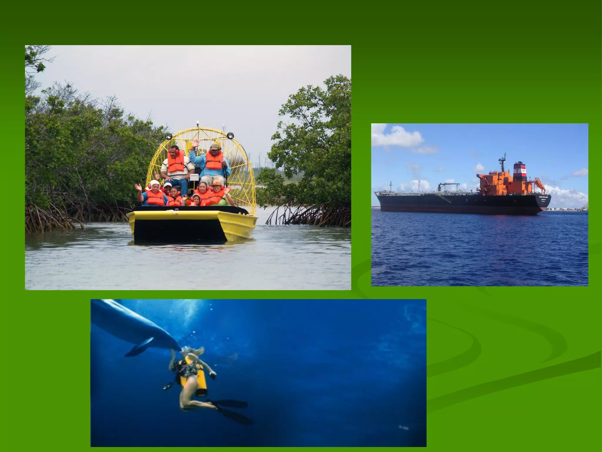 Bahamas Pollution - Bahamas Conservation | PDF