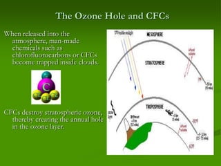 Bahamas Pollution - Bahamas Conservation | PDF
