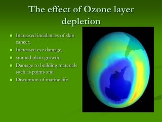 Bahamas Pollution - Bahamas Conservation | PDF