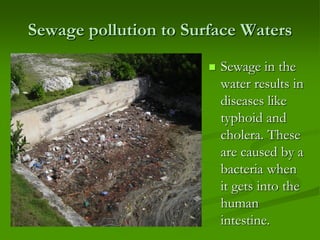 Bahamas Pollution - Bahamas Conservation | PDF