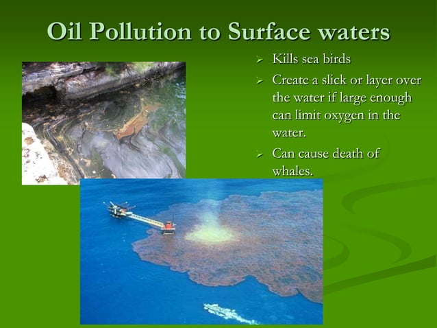 Bahamas Pollution - Bahamas Conservation | PDF | Indoor Environmental ...