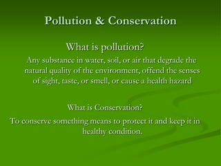 Bahamas Pollution - Bahamas Conservation | PDF