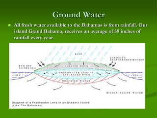 Bahamas Pollution - Bahamas Conservation | PDF