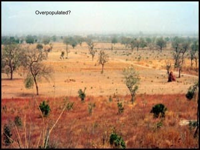 What is population geography and why study it | PPT