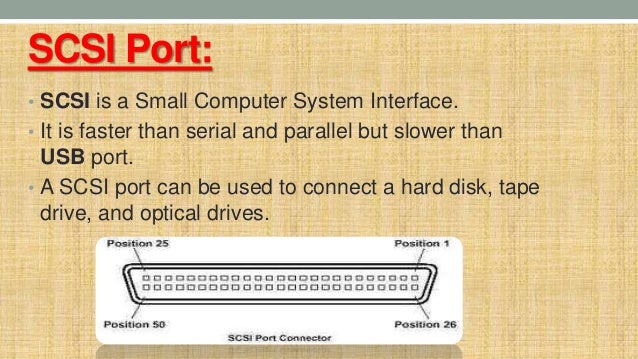 What is port and types? | PPTX