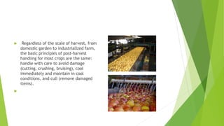 What is post harvest technology | PDF