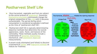 What is post harvest technology | PDF