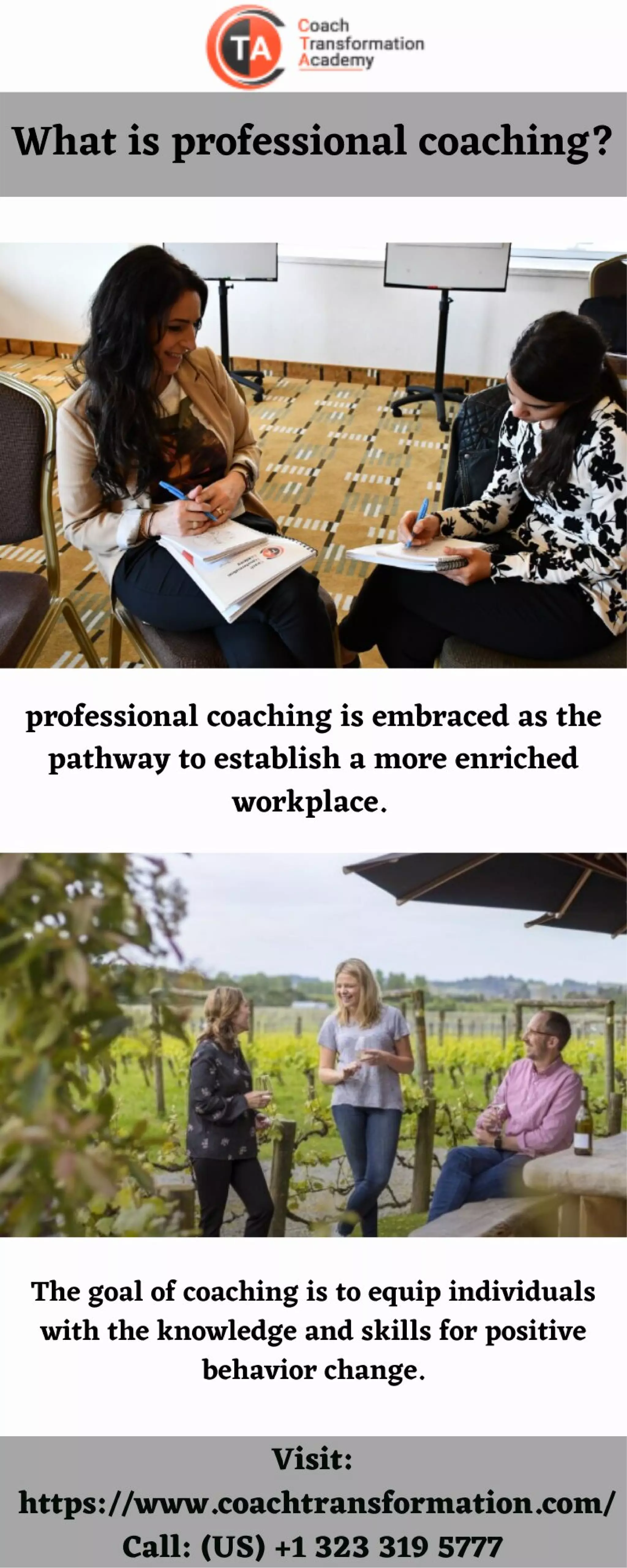 What is Professional coaching - Coach Transformation Academy | PDF