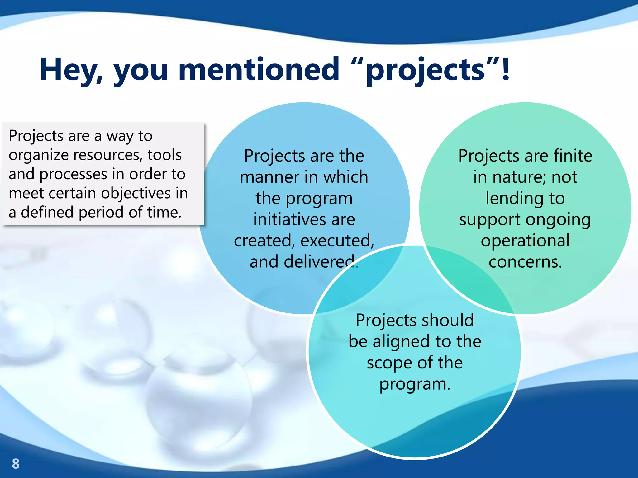 What is Program Management - An Overview | PPTX