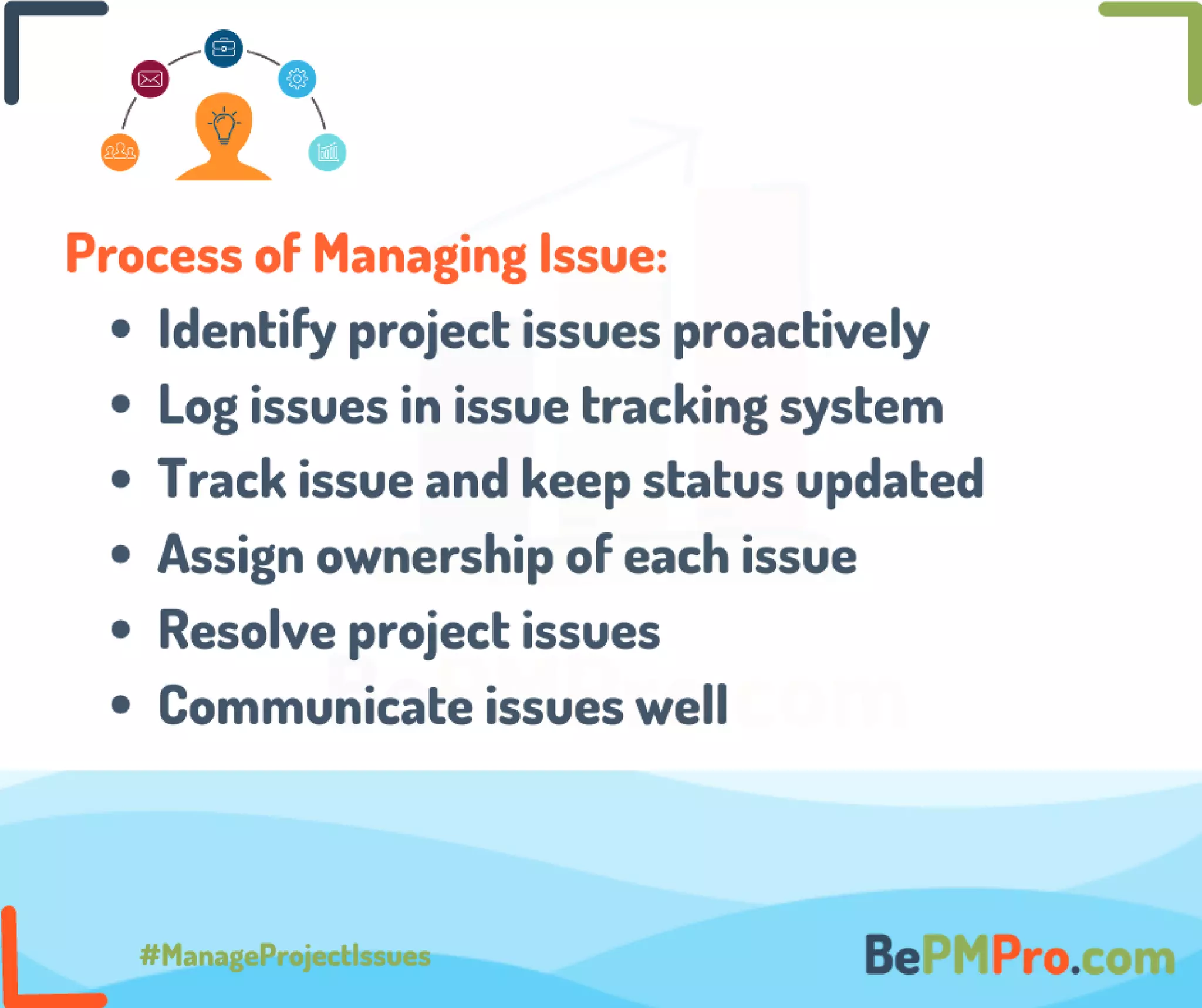 What is project issue management | PPT