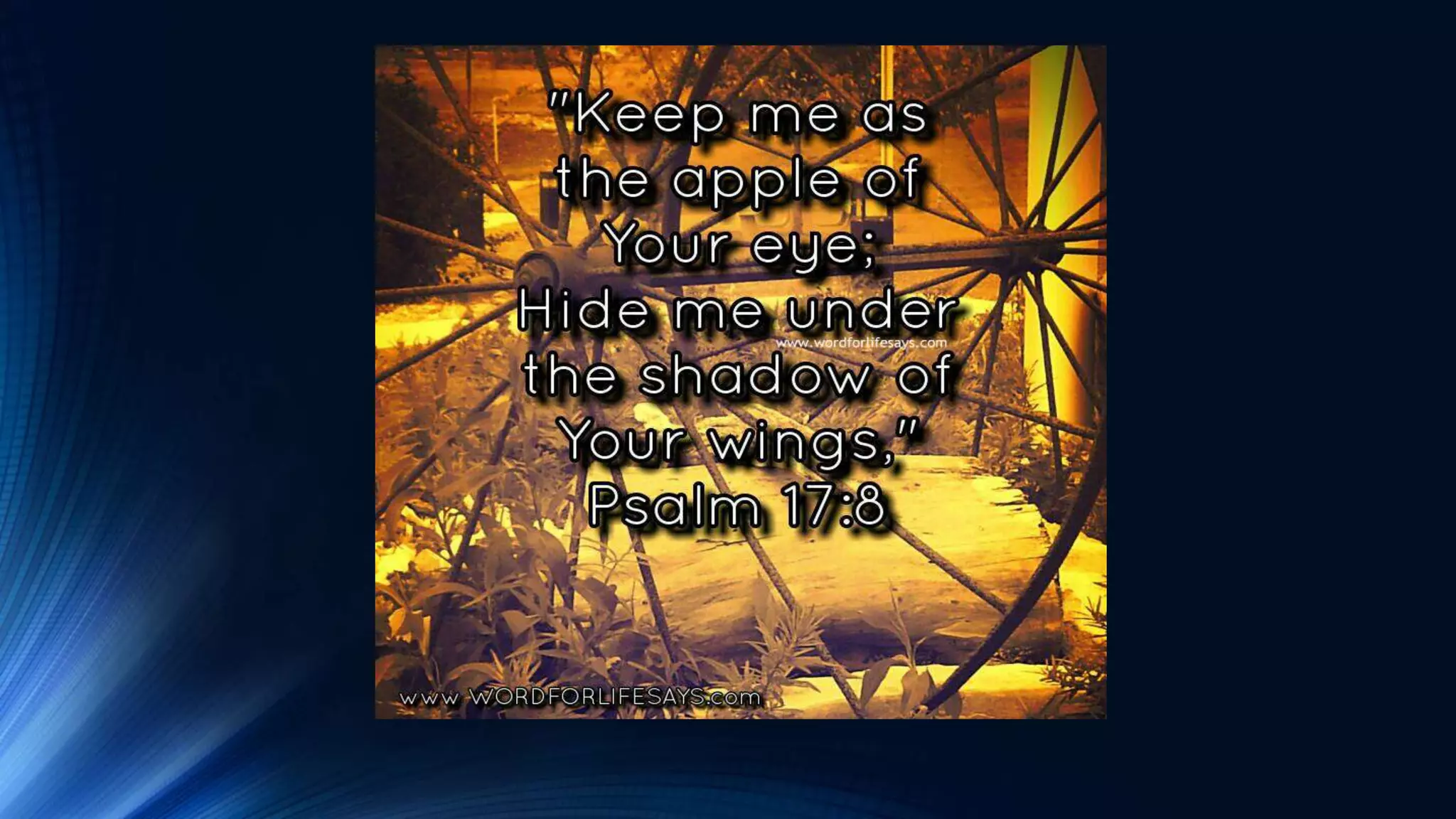 What is prophecy | PPTX