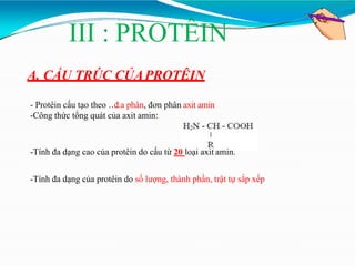 what is protein .pptx