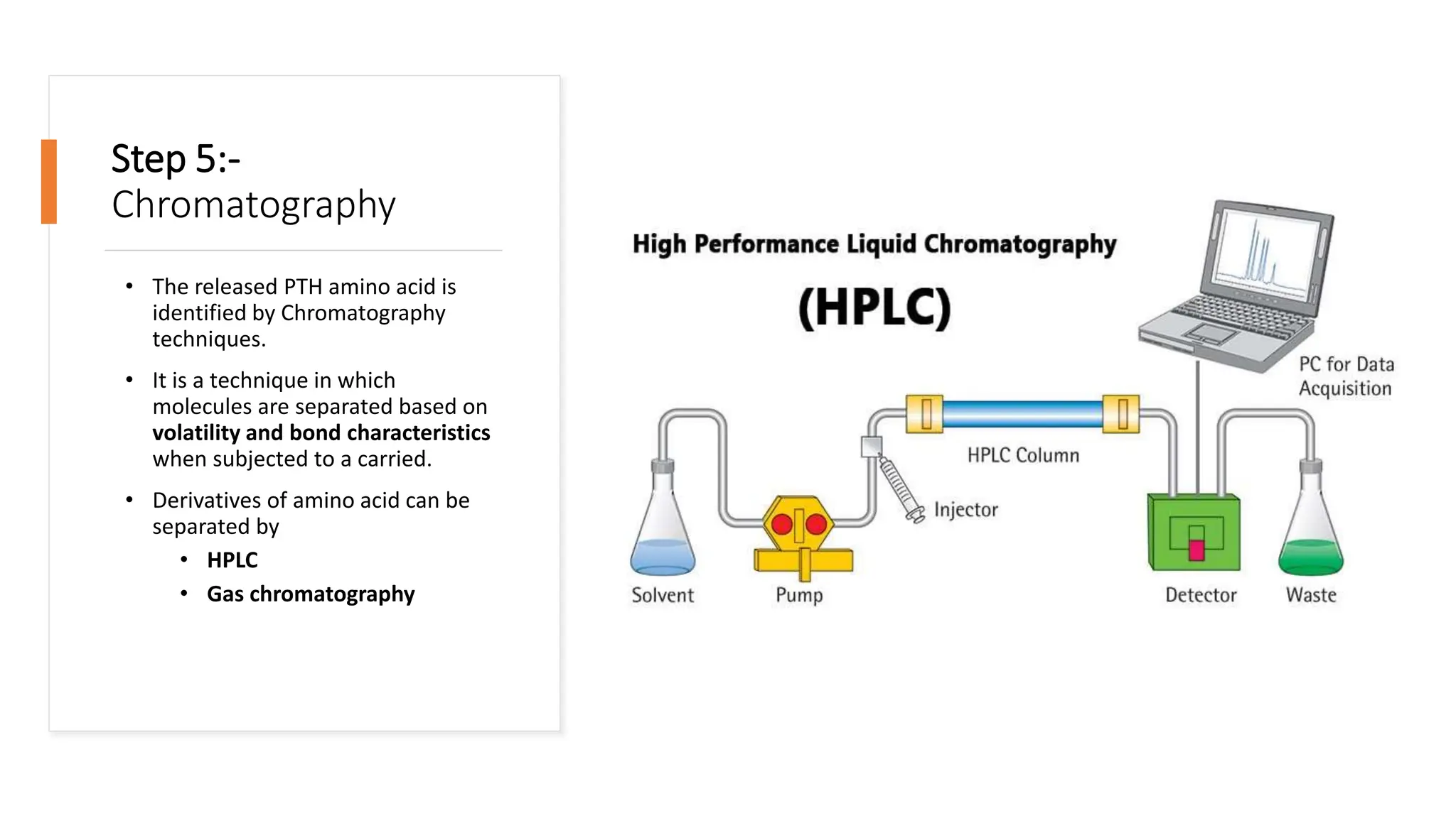 protein sequencing -edman degradation.pptx