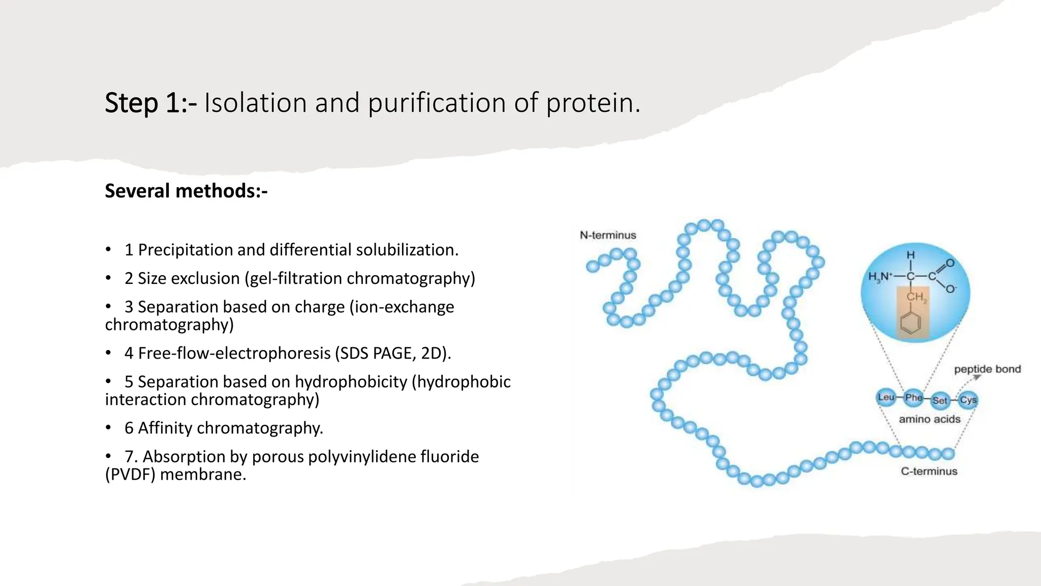 protein sequencing -edman degradation.pptx