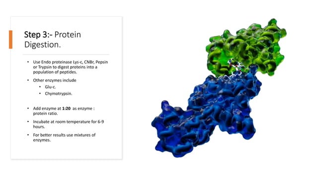 protein sequencing -edman degradation.pptx