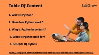 what is python.pdf
