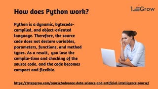 what is python.pdf