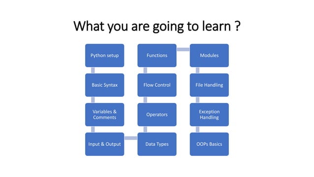 What is Python Programming for Beginners | PPTX